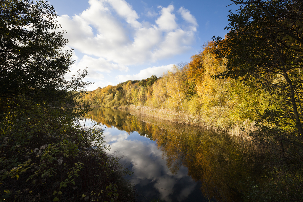 Forêt régionale de Bondy - Île-de-France Nature