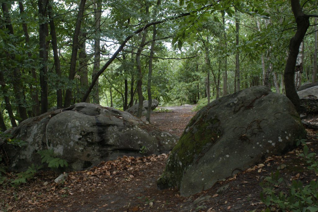 Espace naturel régional de Rougeau Bréviande - Île-de-France Nature