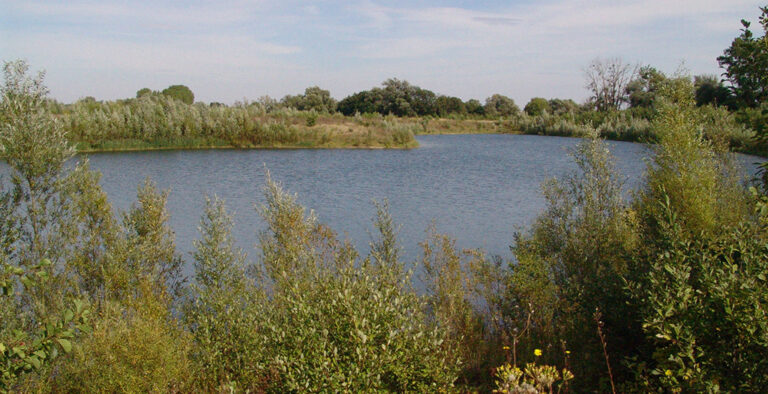 Espace naturel régional de Précy-sur-Marne - Île-de-France Nature
