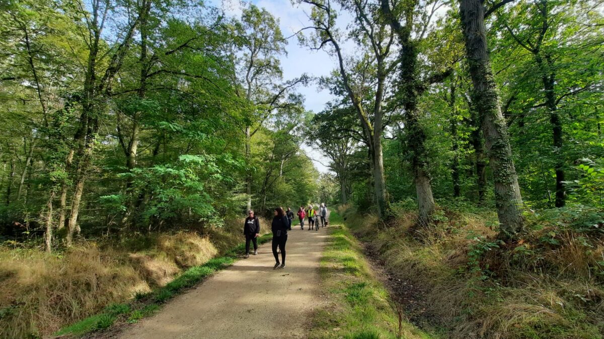 Tous en forêt : les forestiers vous rencontrent ! - Île-de-France Nature