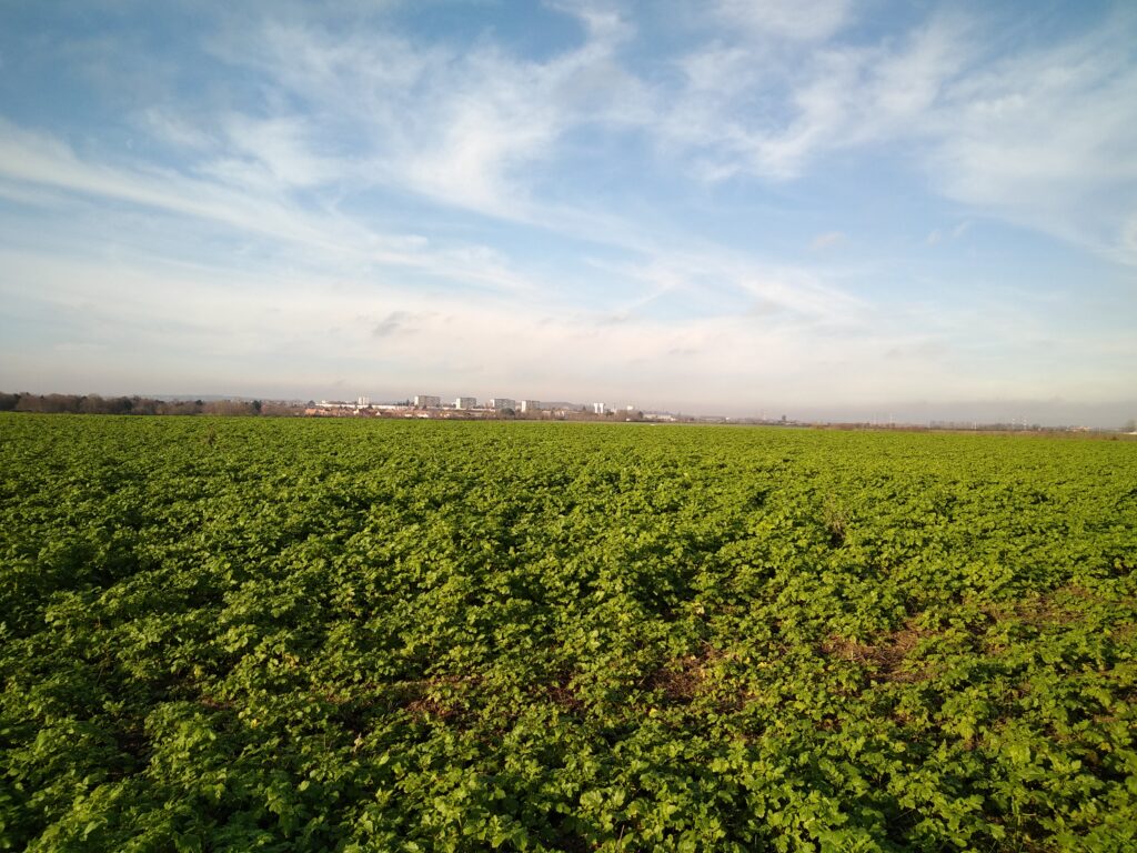Espace naturel régional de la Plaine de France - Île-de-France Nature