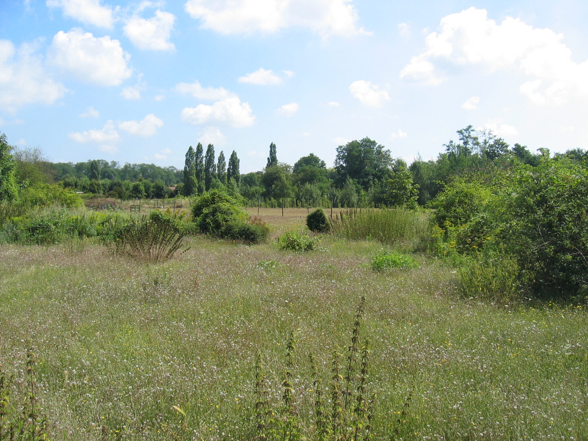 Espace naturel régional des Boucles de l'Yerres et de la Vallée du ...
