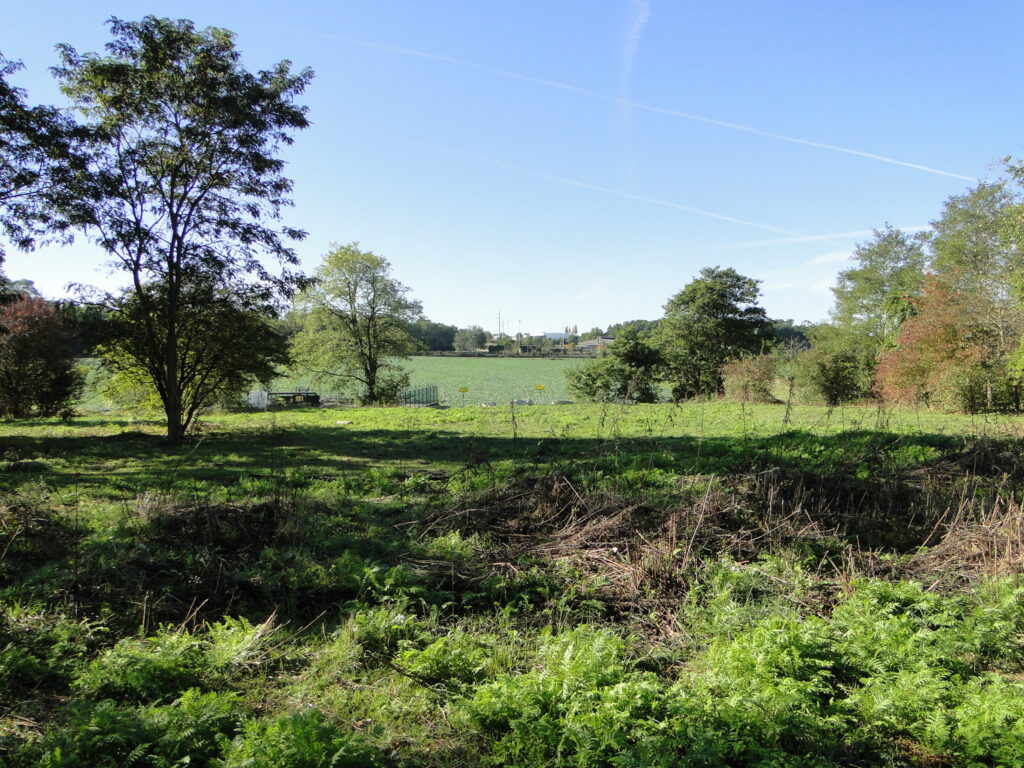 Espace naturel régional de la Plaine de Pierrelaye - Île-de-France Nature