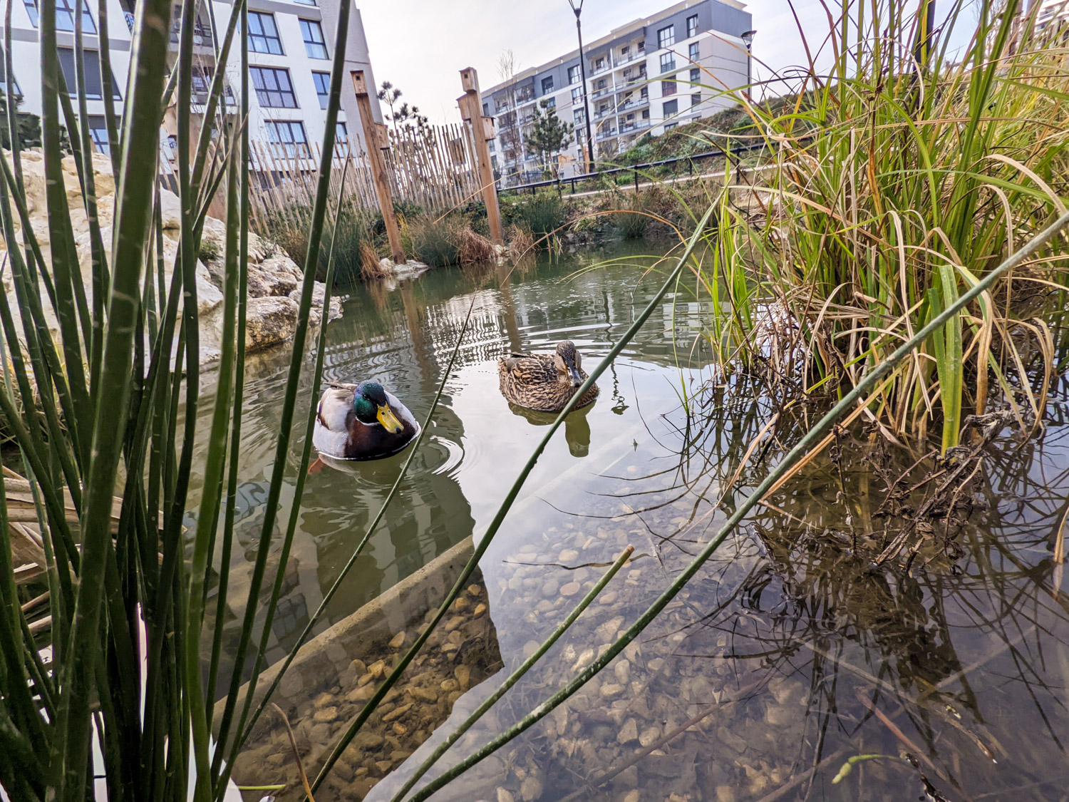 Plan vert de la Région Île-de-France : transformer la ville pour la ...