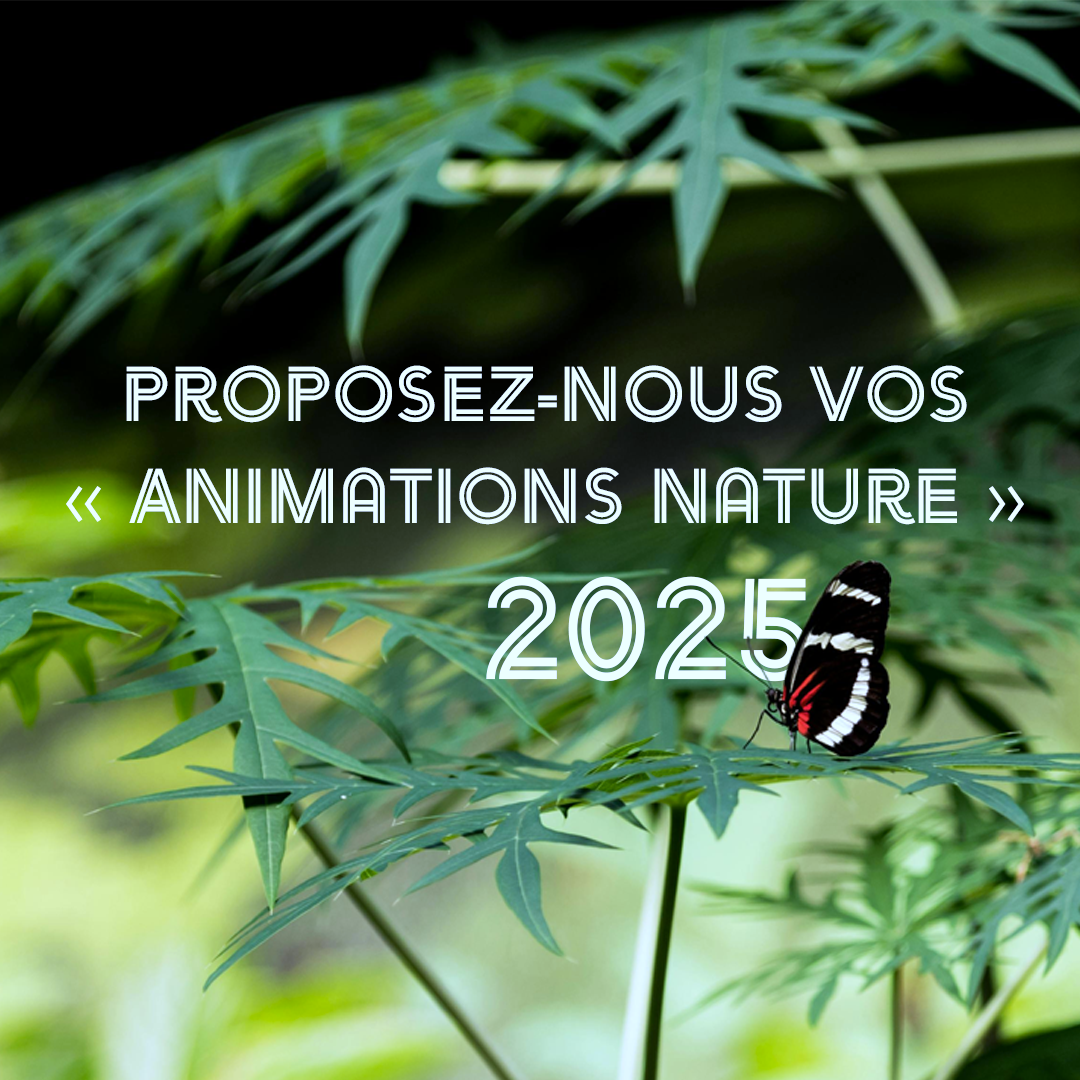 Proposez vos animations nature pour 2025 - Île-de-France Nature