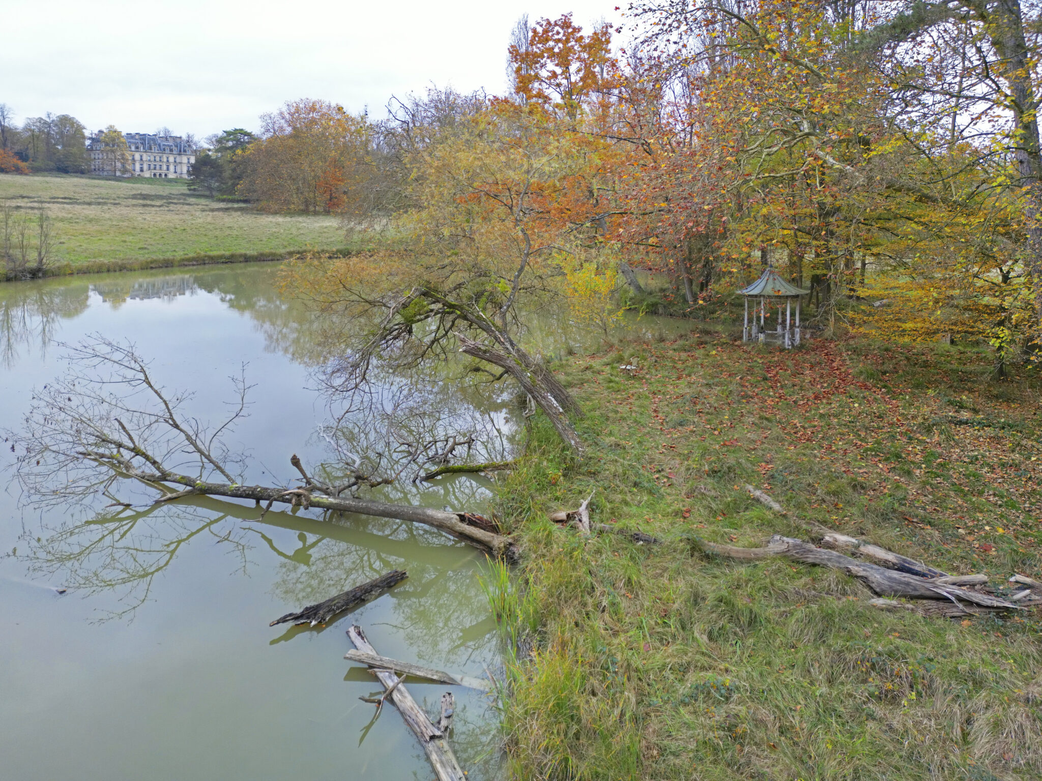 La Région Île-de-France acquiert les 110 hectares du Bois du Piple (94 ...