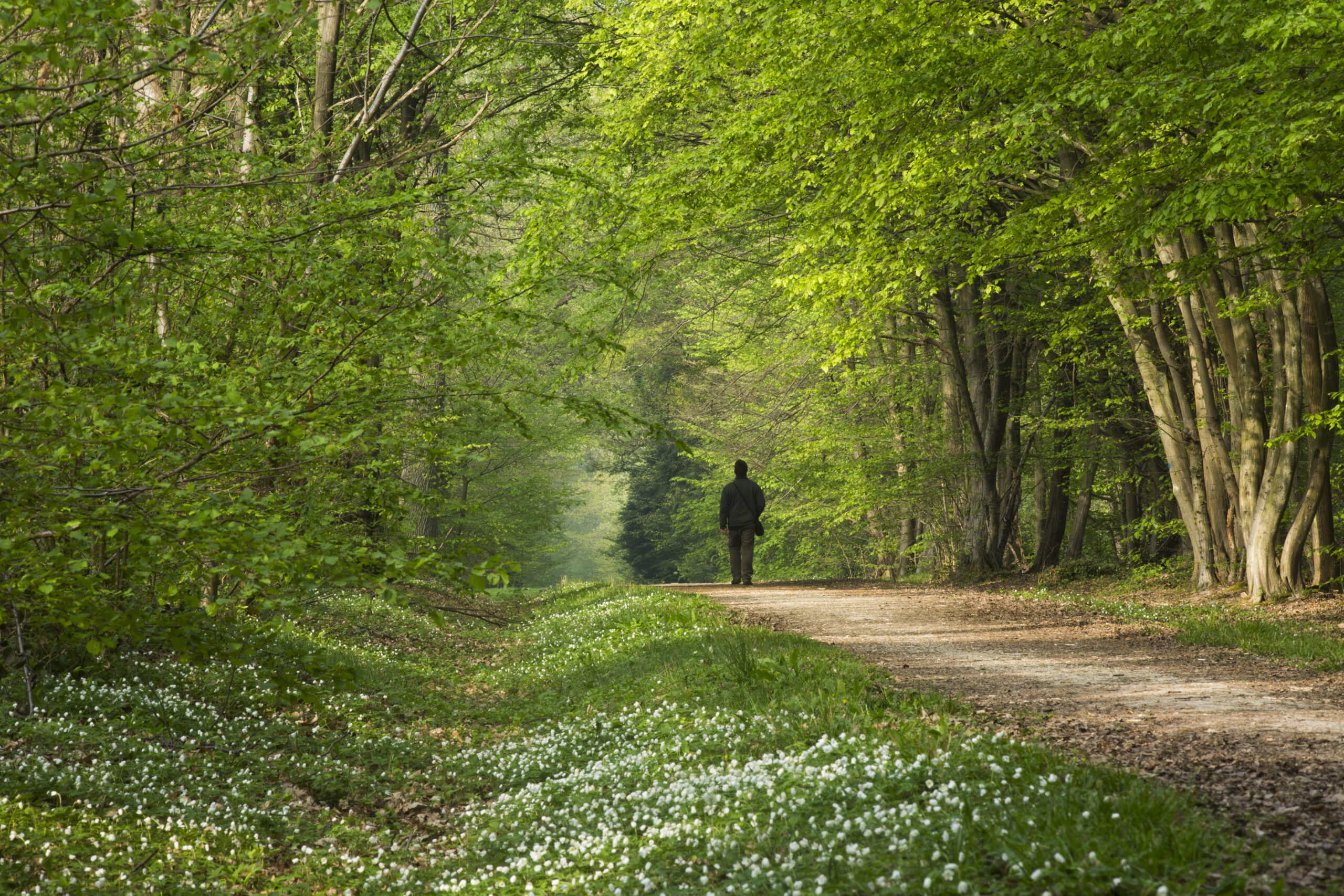 Île-de-France Nature
