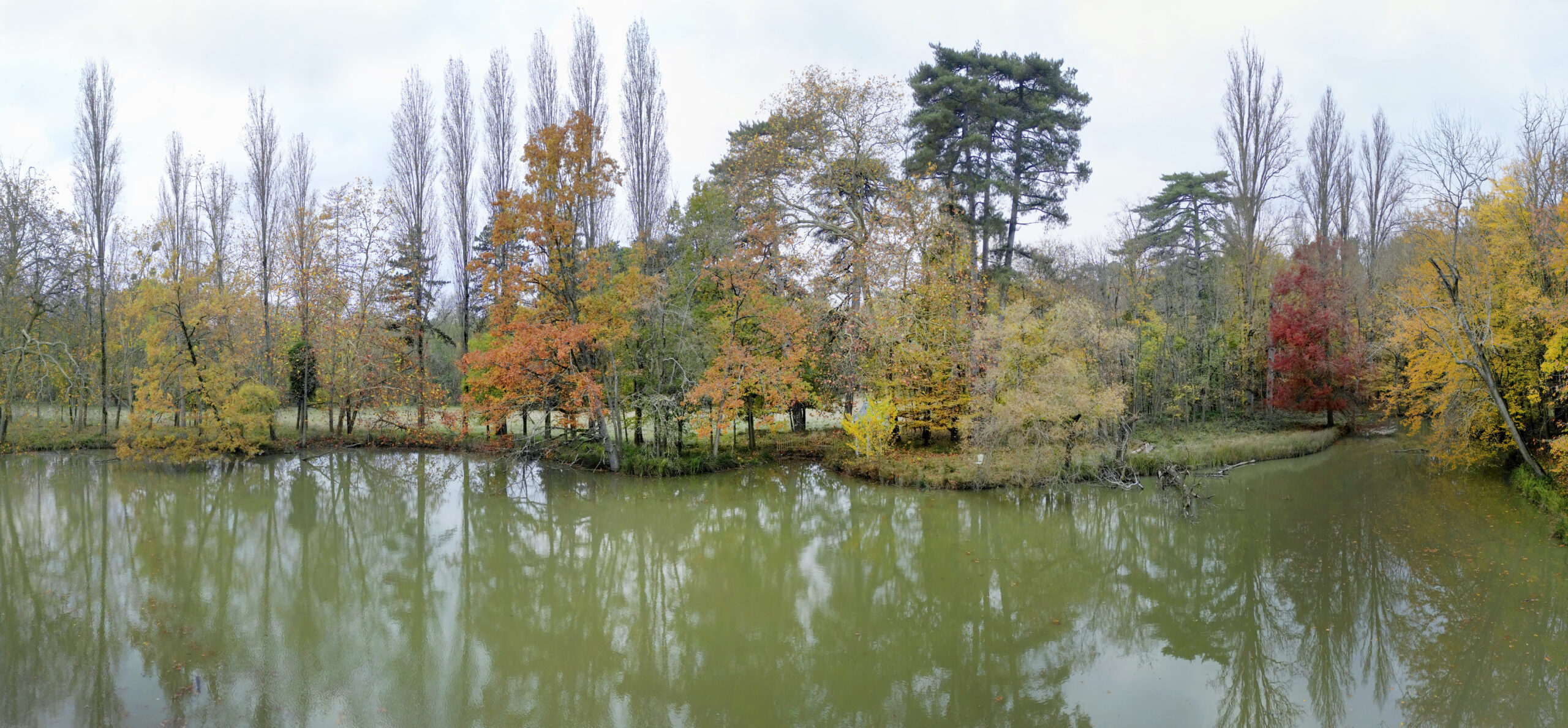 La Région Île-de-France, nouvelle propriétaire du Bois du Piple (94 ...